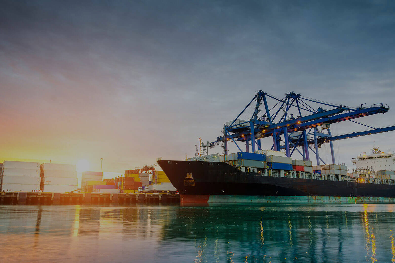 Zido - Digital Supply Chain